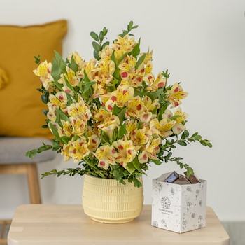 Bleems | Fresh Flowers & Gifts Delivery