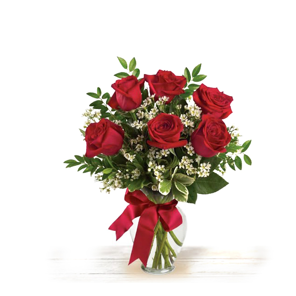 Enchanted Roses | Bleems