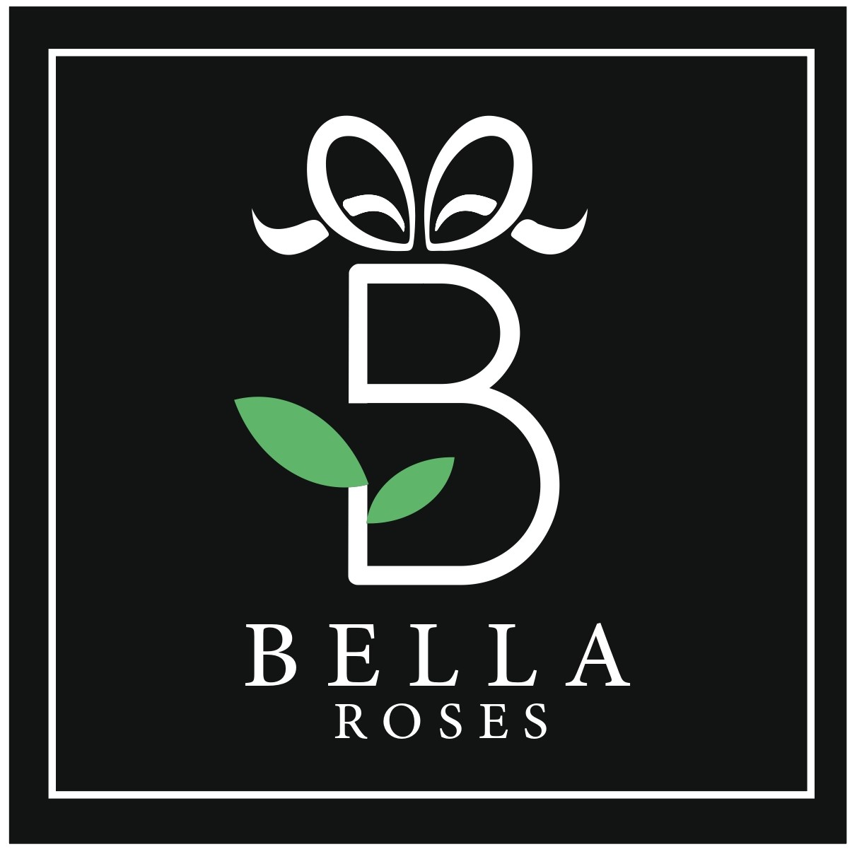 Bleems | Fresh Flowers & Gifts Delivery